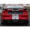 Ford GT500 Rear Diffuser / Close Out Panel Kit - GT500DIFFUSERKIT ...
