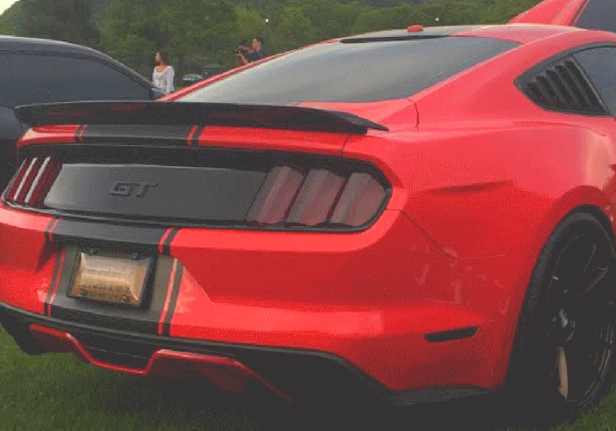 Genuine Ford Spoiler - Rear GT 350 Track Pack - M-16600-GT350A ...