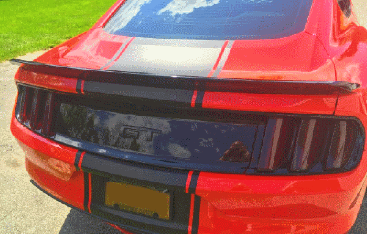 Genuine Ford Spoiler - Rear GT 350 Track Pack - M-16600-GT350A ...